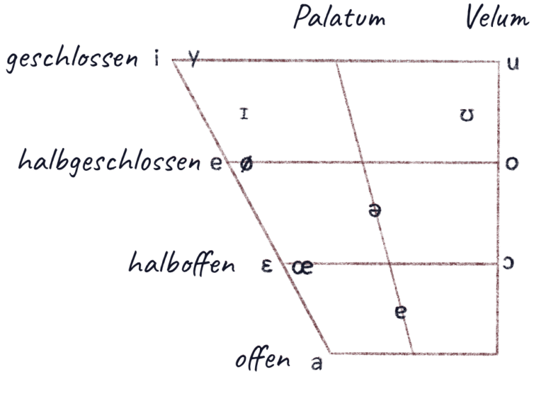 Das Vokalviereck in der Phonetik erklärt